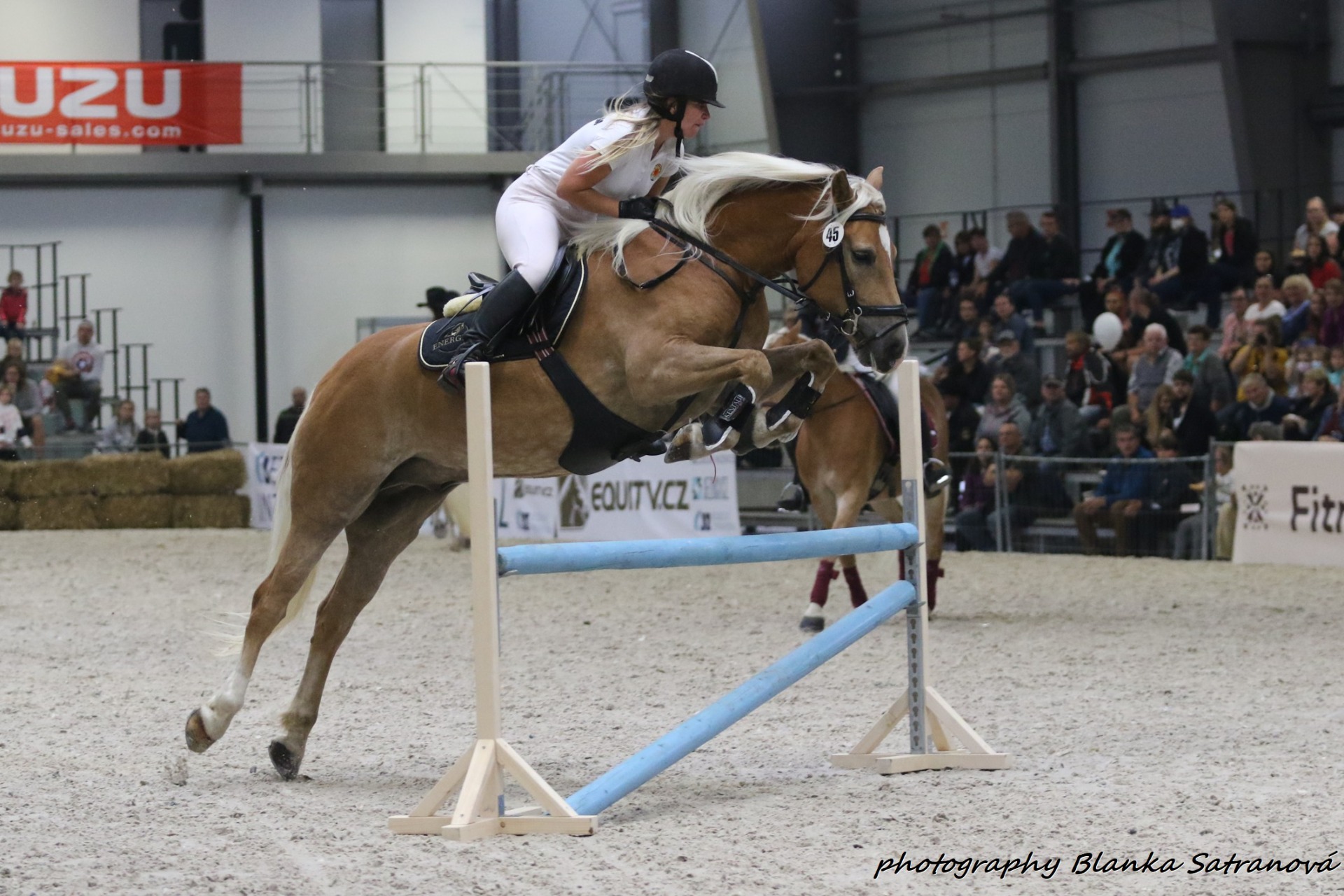 O nás :: Haflinger show team