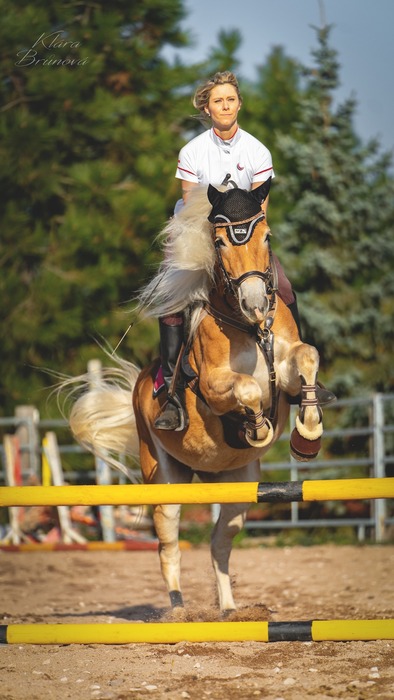 O nás :: Haflinger show team