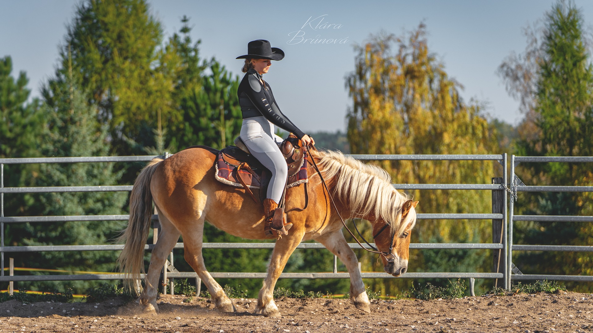 O nás :: Haflinger show team