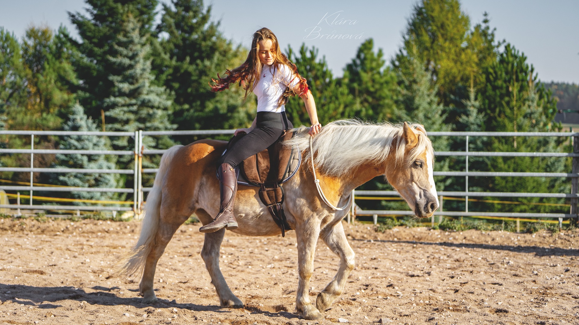 O nás :: Haflinger show team